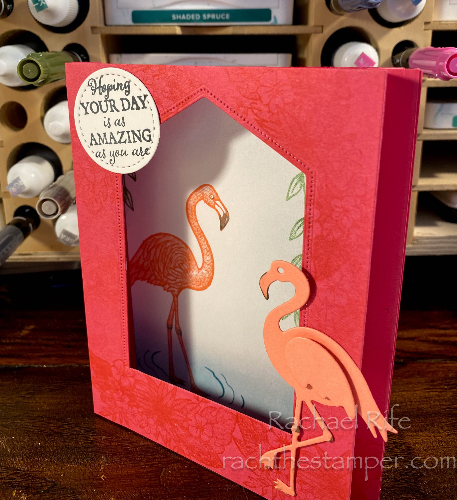 Oh Snap & Friendly Flamingo Diorama Window cards – RachTheStamper